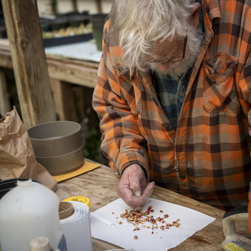 Sandy Mush Herb Nursery in the Blue Ridge Mountains of NC