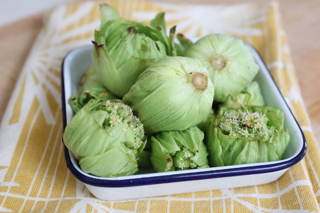 A Recipe for Fuki Buds: Butterburs Herald the Coming of Spring