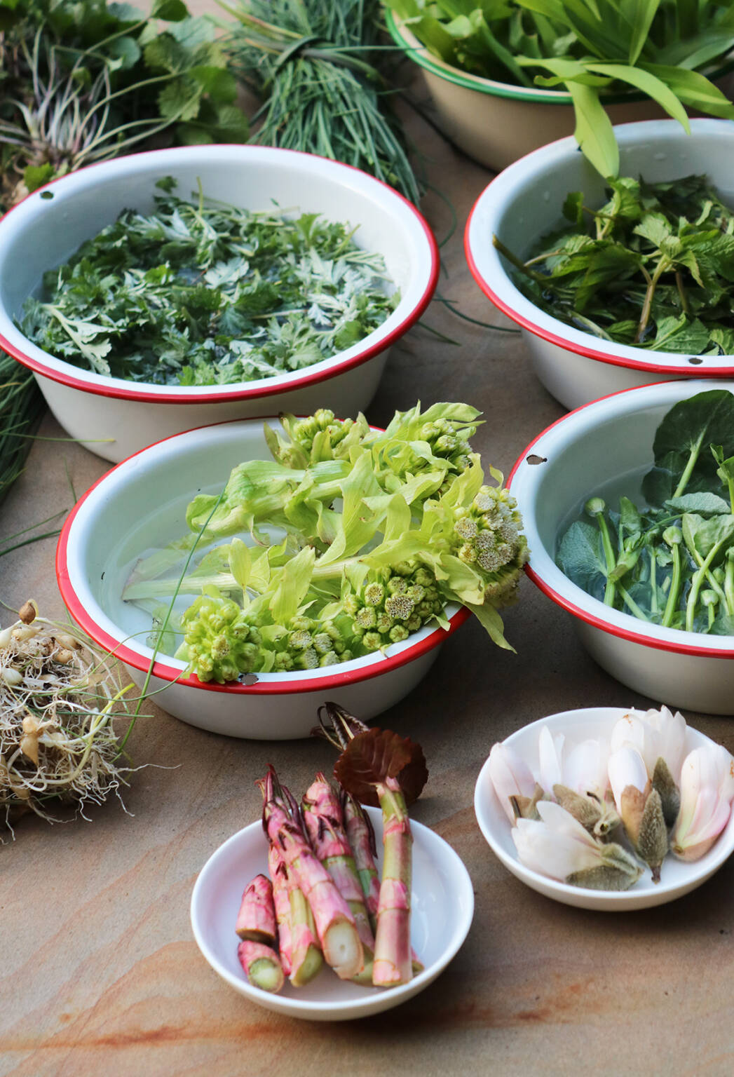 A Recipe for Fuki Buds: Butterburs Herald the Coming of Spring