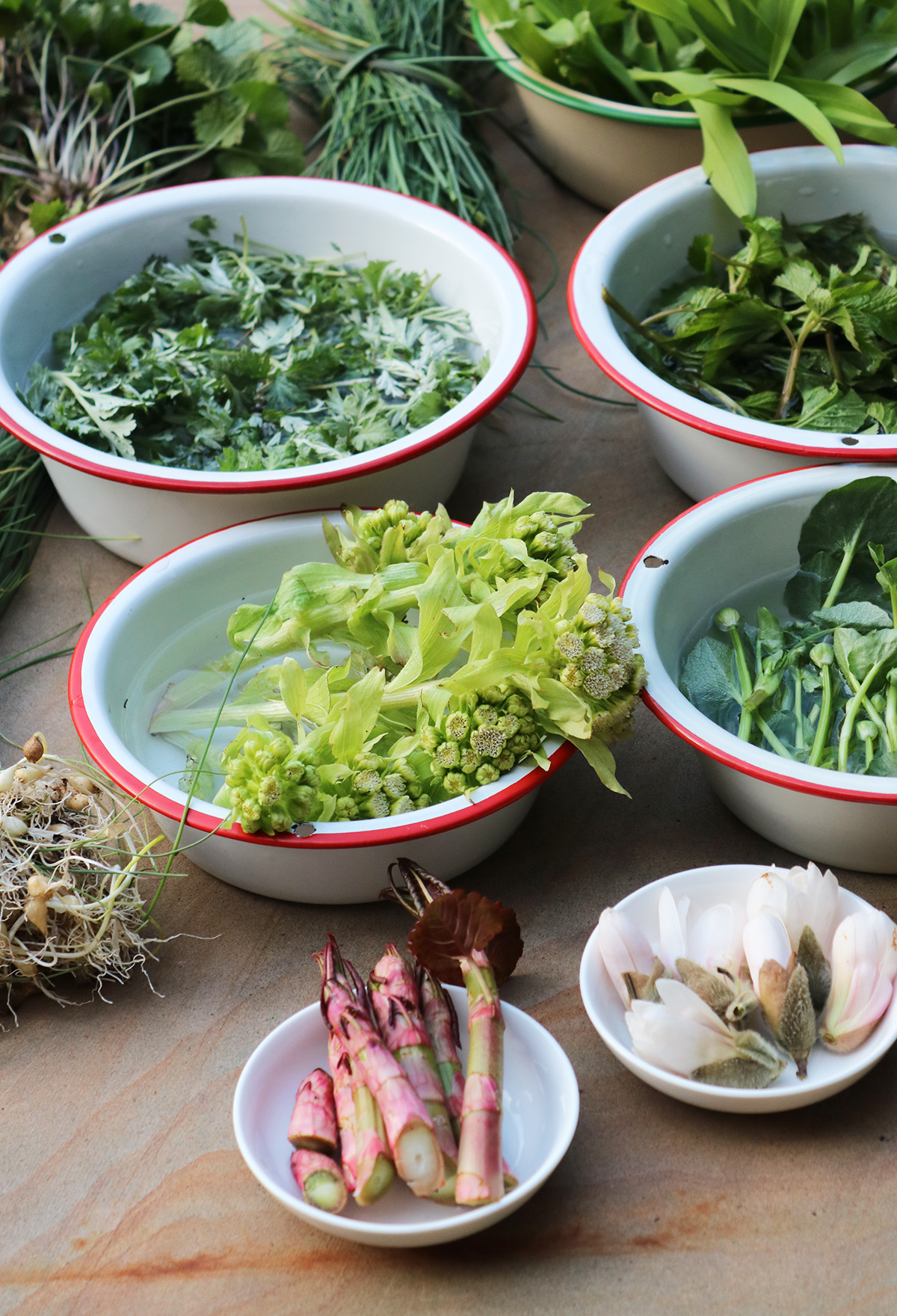 A Recipe for Fuki Buds: Butterburs Herald the Coming of Spring