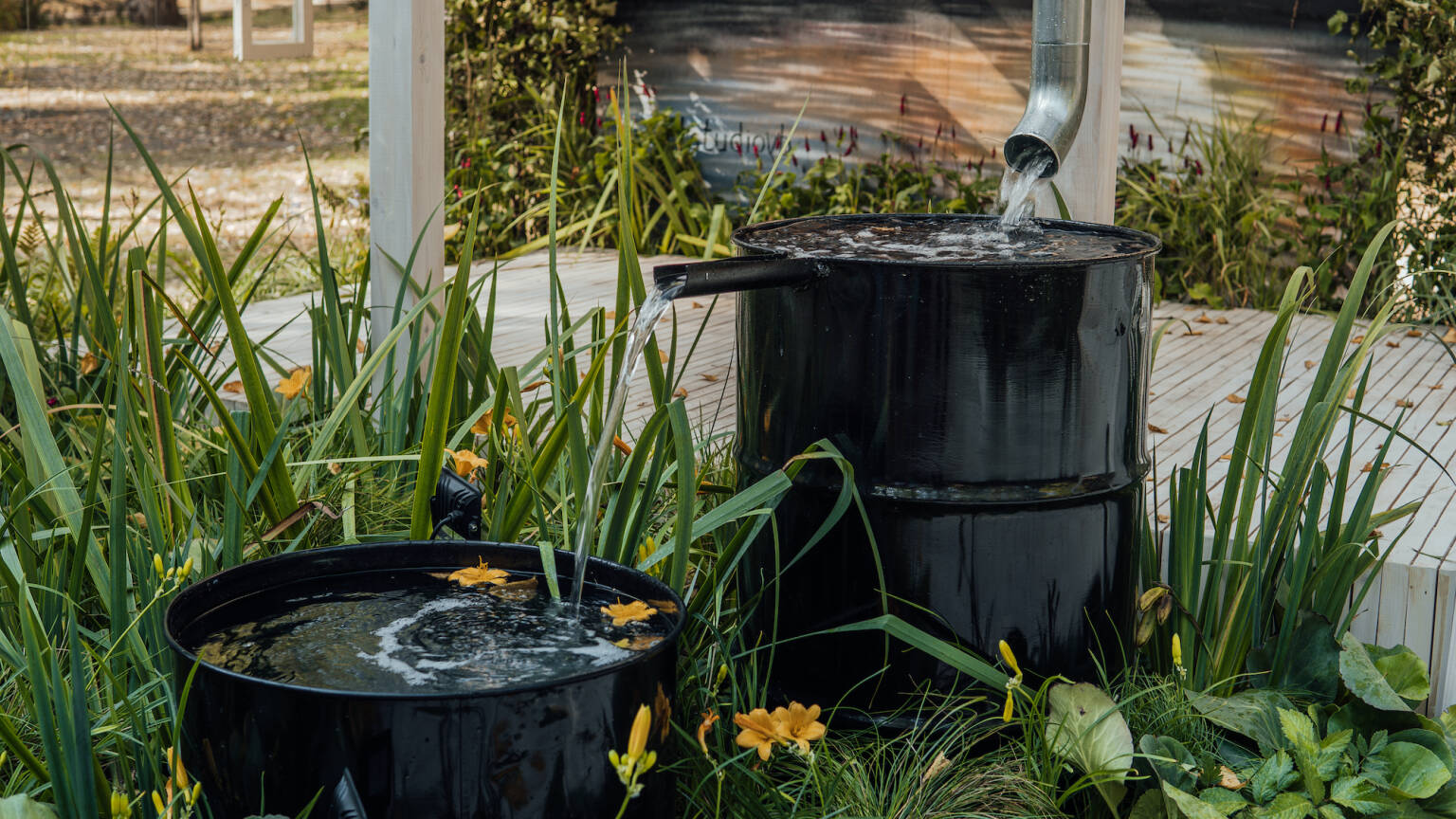 Kim Stoddart on The Climate Change-Resilient Vegetable Garden