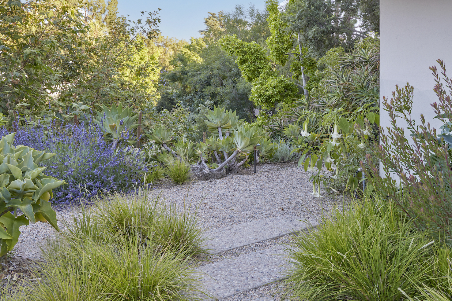 Lawn-Free Front Yard Ideas: 10 Tips from 'Gardenista: The Low-Impact ...