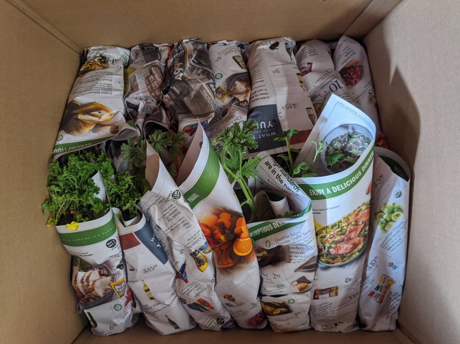 Sandy Mush Herb Nursery in the Blue Ridge Mountains of NC