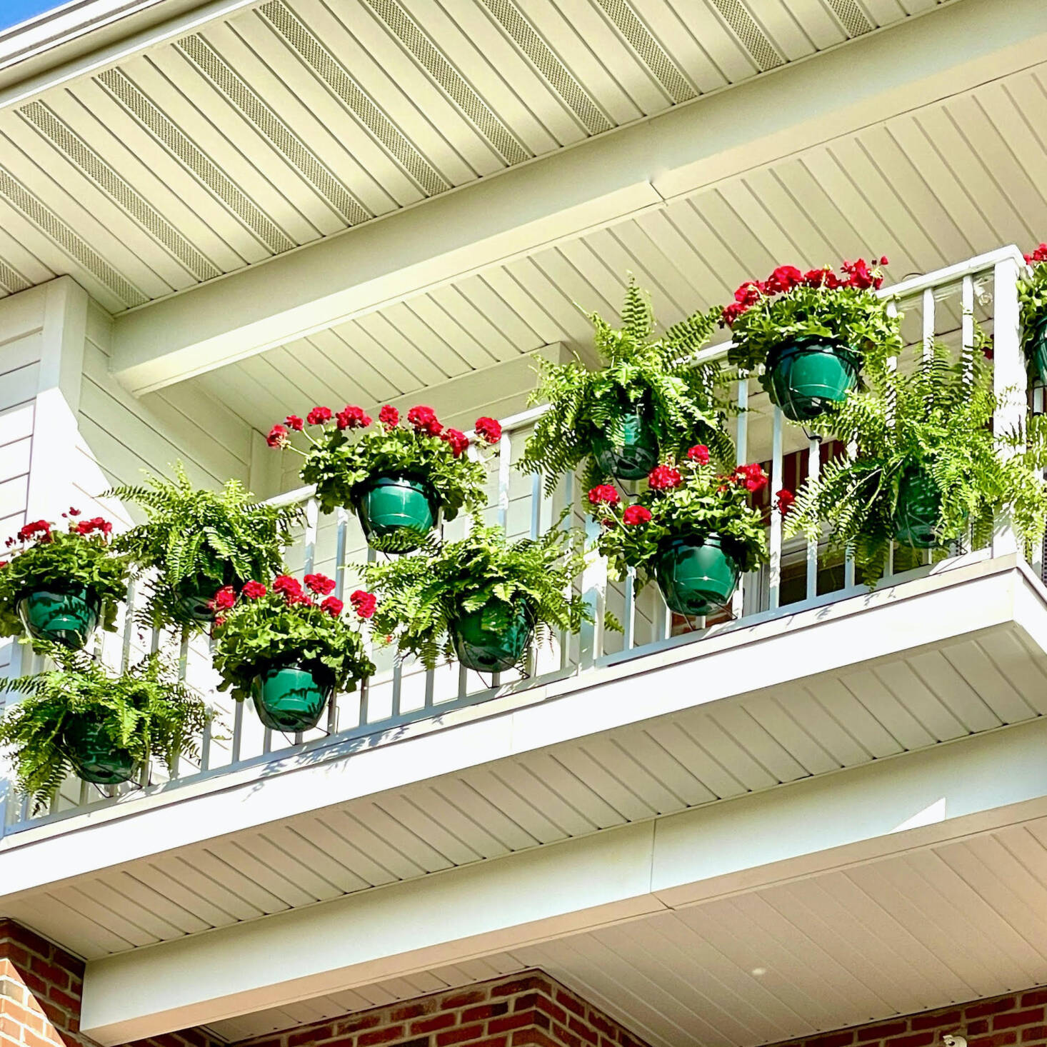 RailScapes Plant Clips by PlantTraps for Railings and Fences