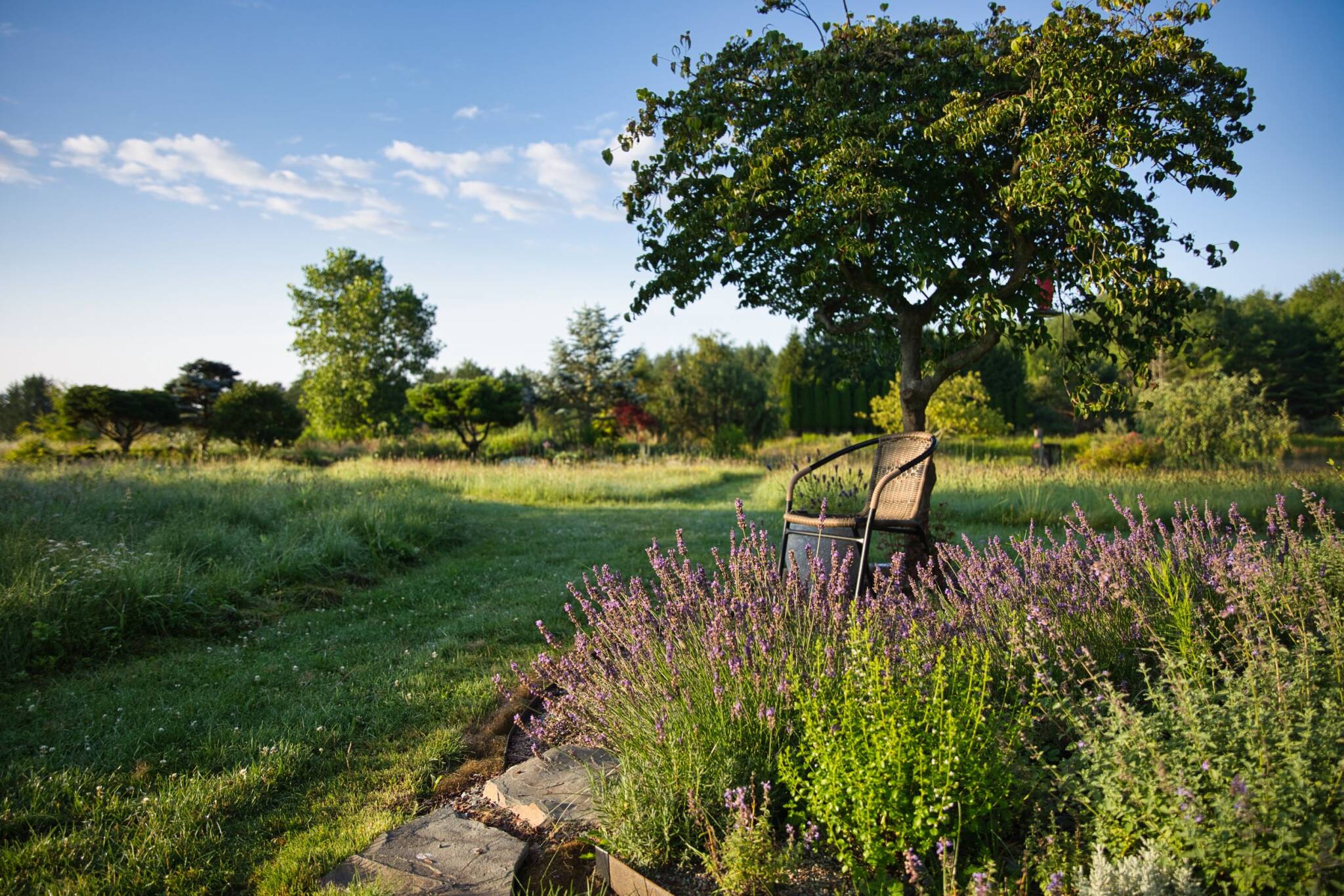 Summer Rayne Oakes: The Plant Educator Shares Her Plant Wisdom