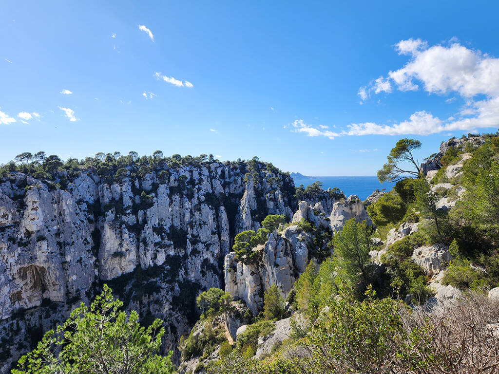 The Calanques in France: A Geographical and Botanical Wonder