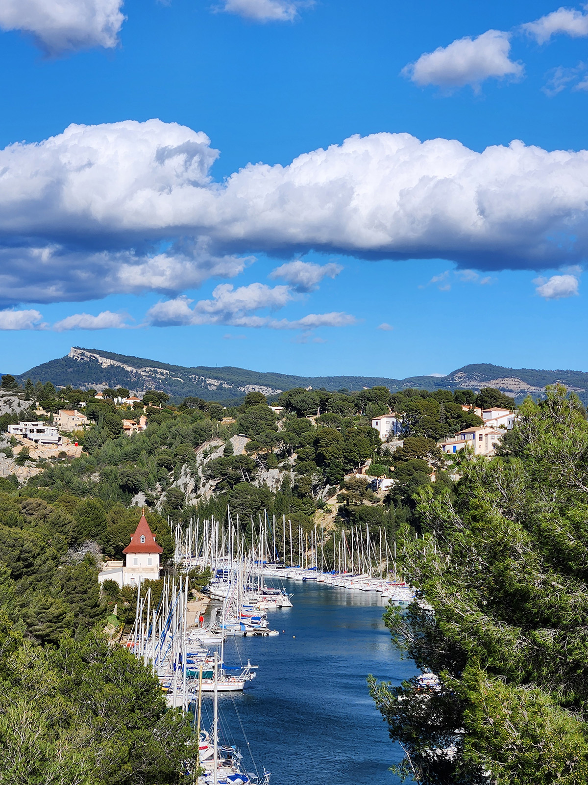 The Calanques in France: A Geographical and Botanical Wonder