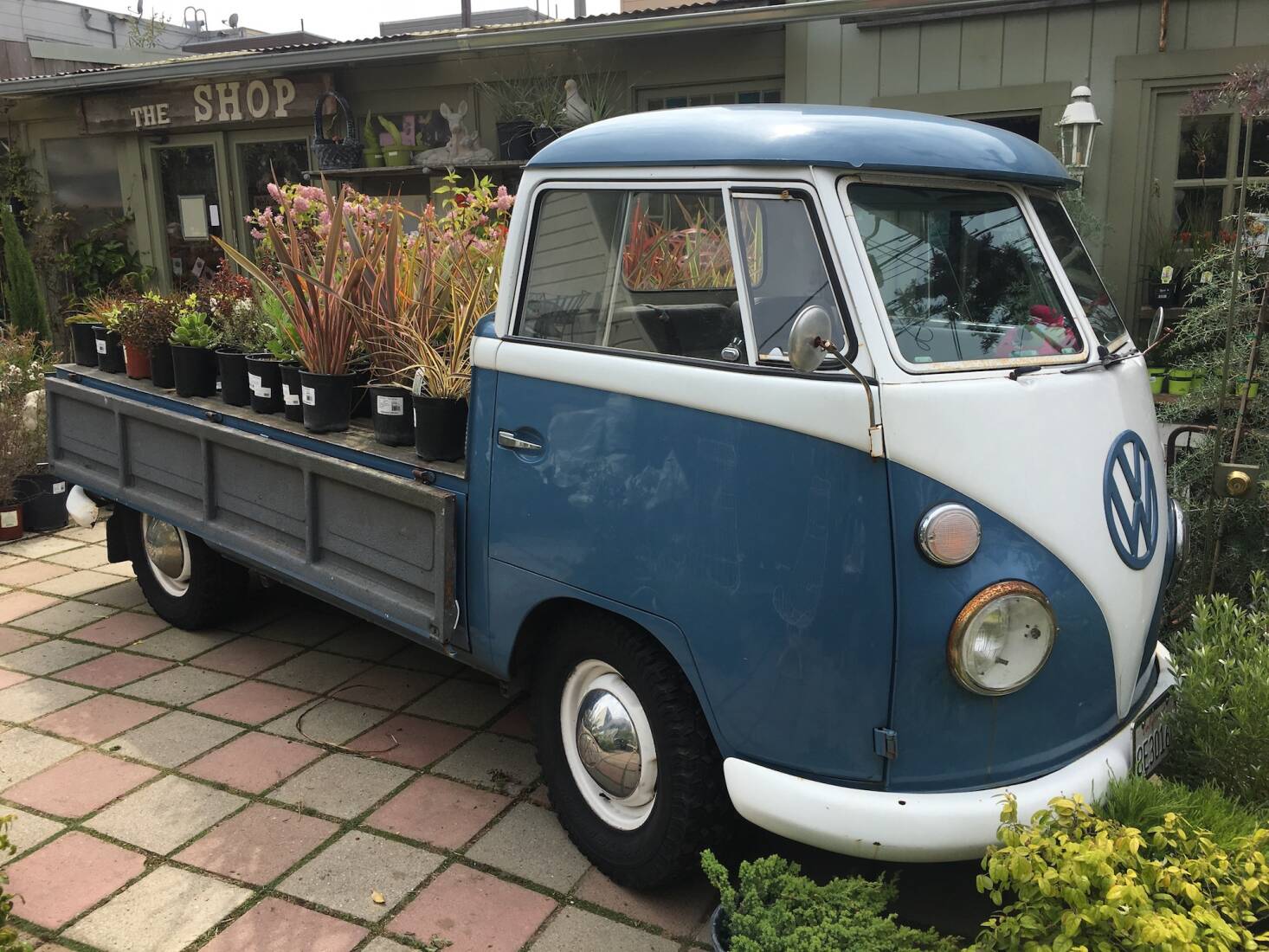 Clement Nursery: San Francisco's Oldest Garden Store