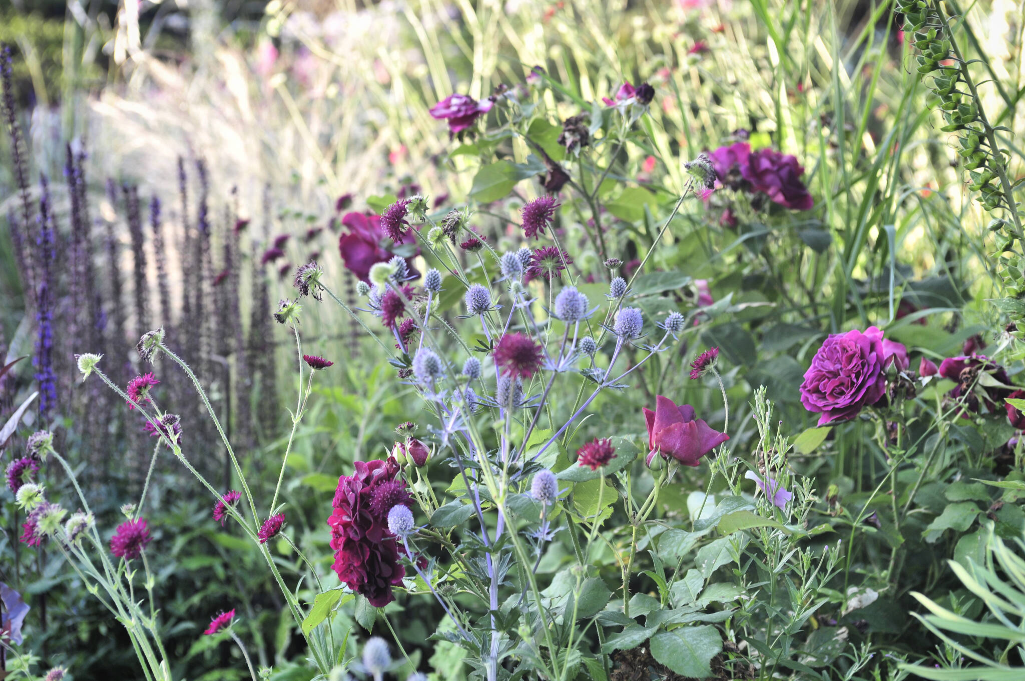 Garden from Scratch: How to Choose the Type of Plants You Need in Your ...