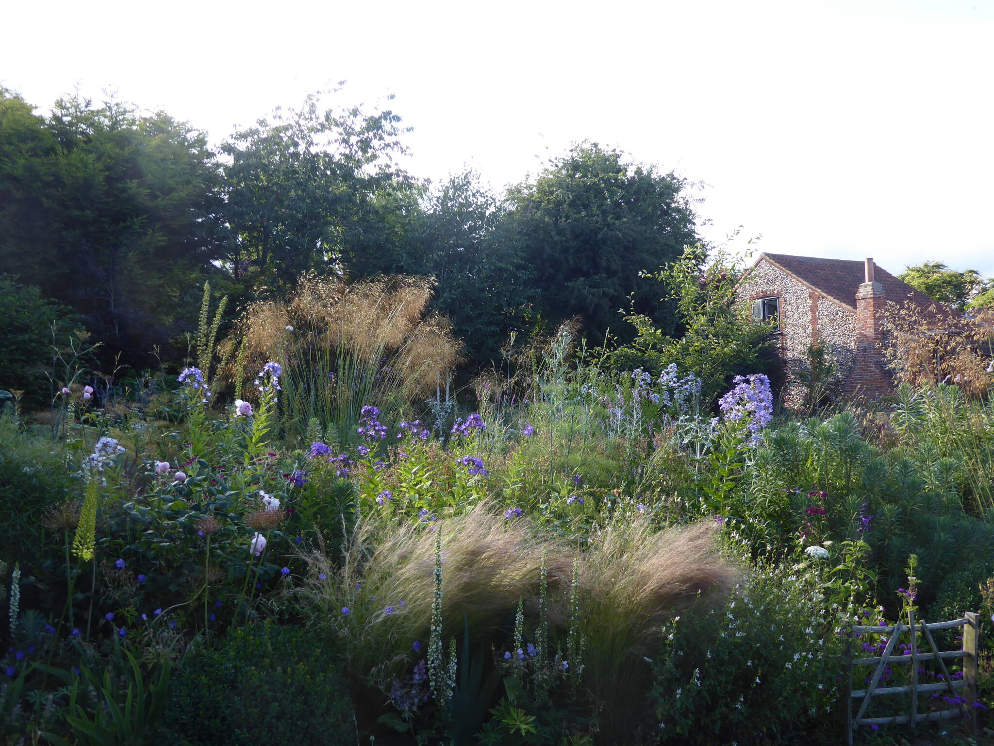 Garden from Scratch: How to Choose the Type of Plants You Need in Your ...