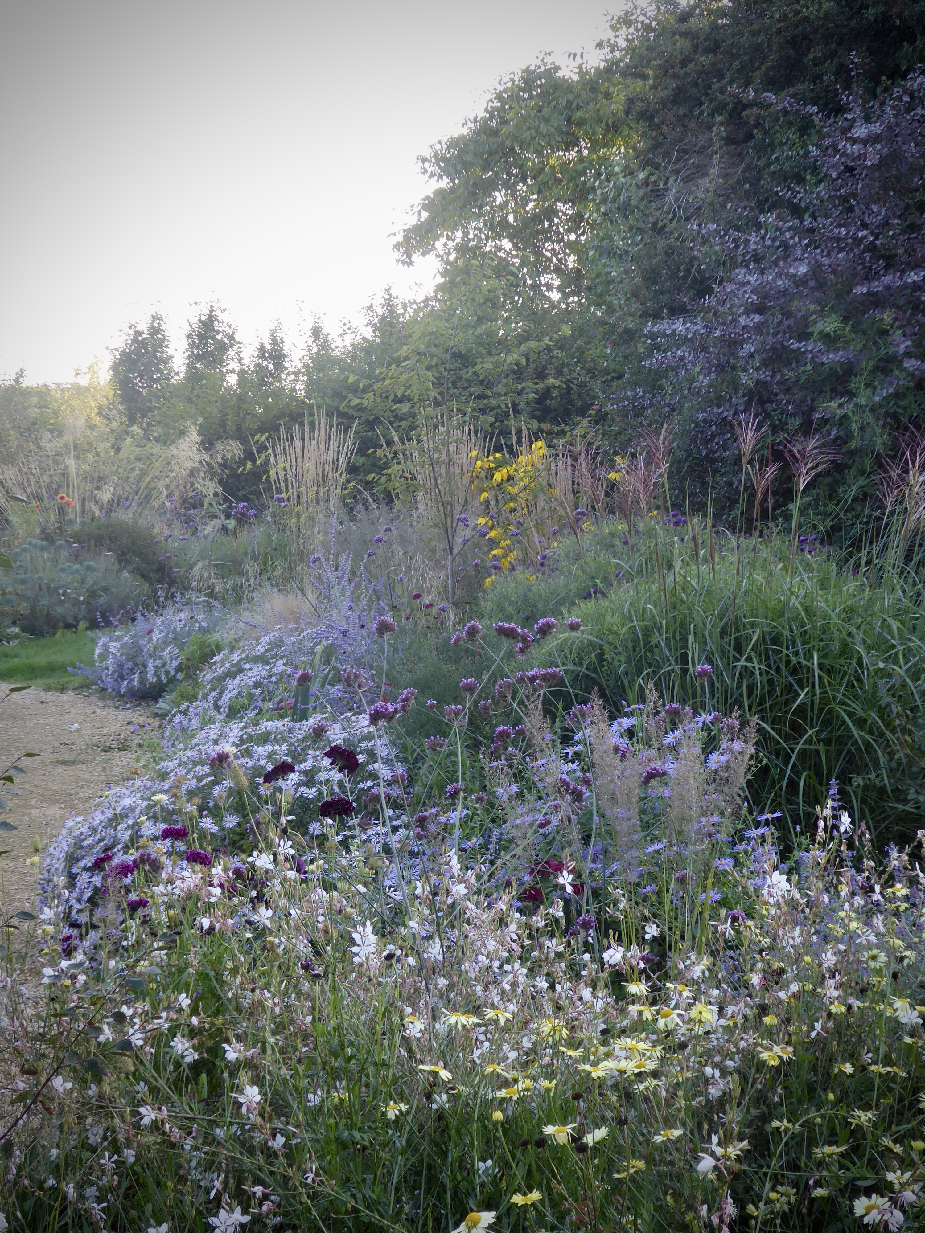 Garden from Scratch: How to Choose the Type of Plants You Need in Your ...
