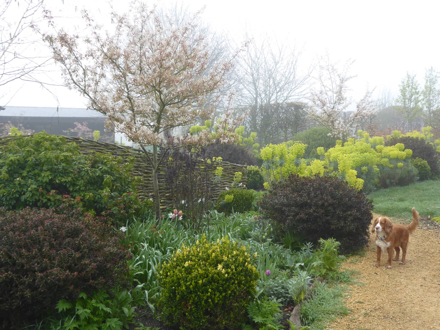 Garden from Scratch: How to Choose the Type of Plants You Need in Your ...