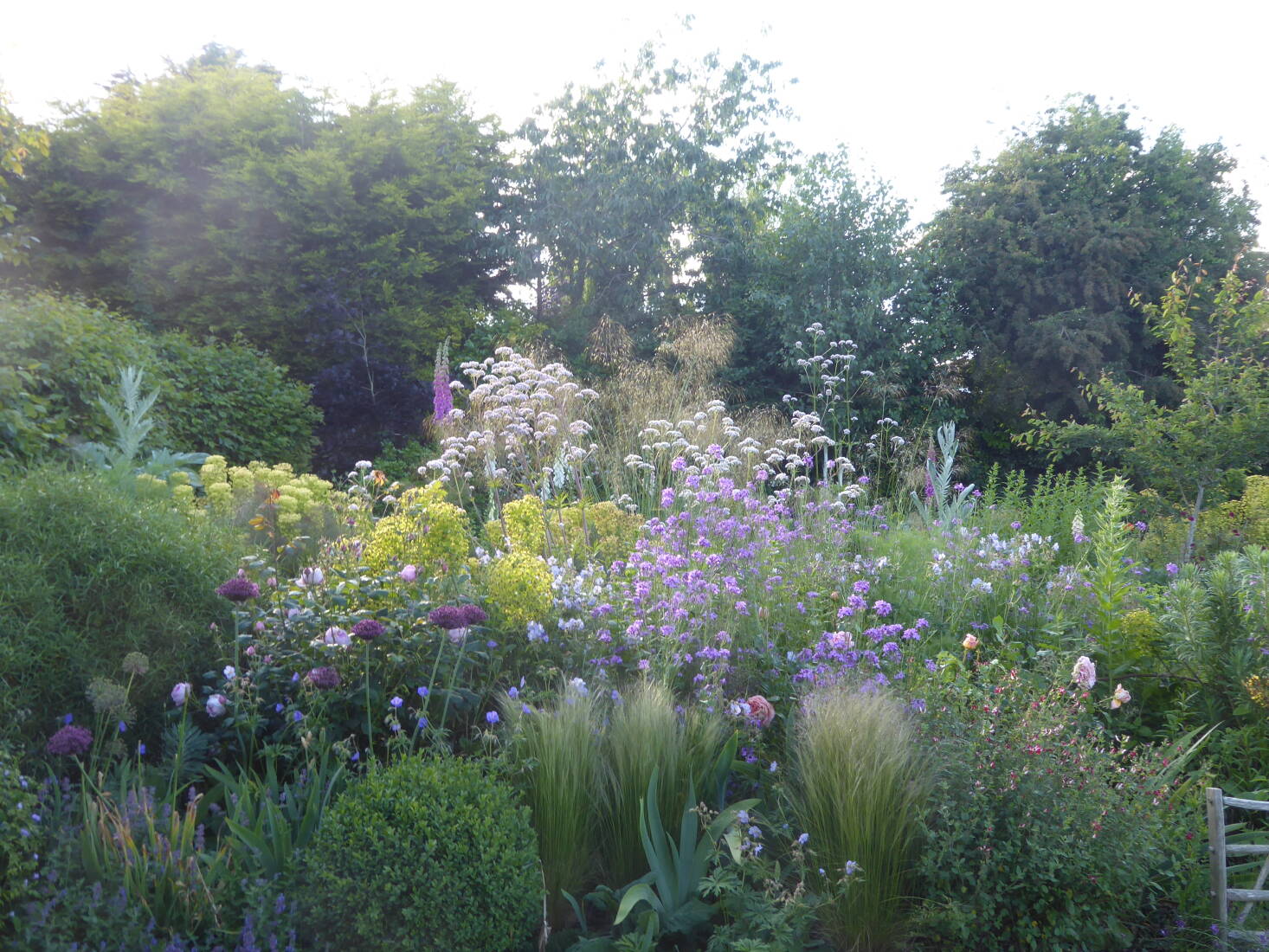 Garden from Scratch: How to Choose the Type of Plants You Need in Your ...