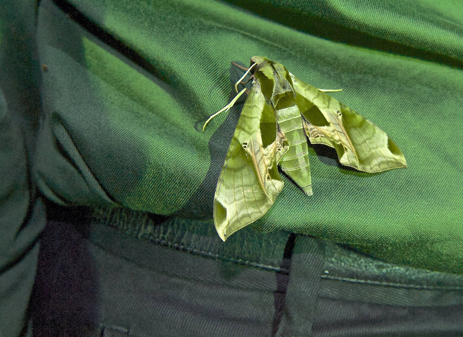 Quick Takes with Margaret Roach: An Interview with the Garden Writer