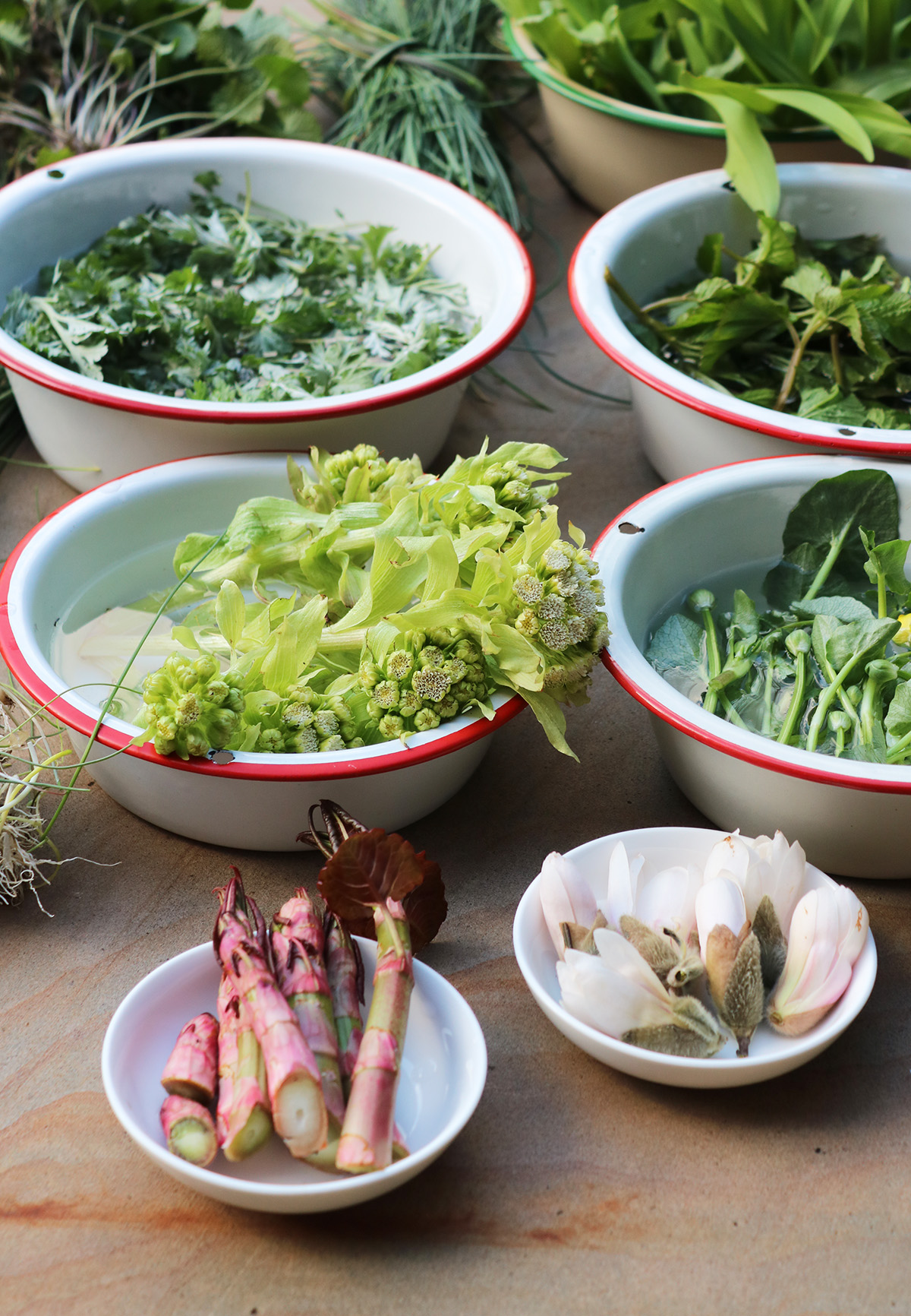 Edible Weeds Are Vegetables in Disguise: Here are 24 Spring Weeds to Eat