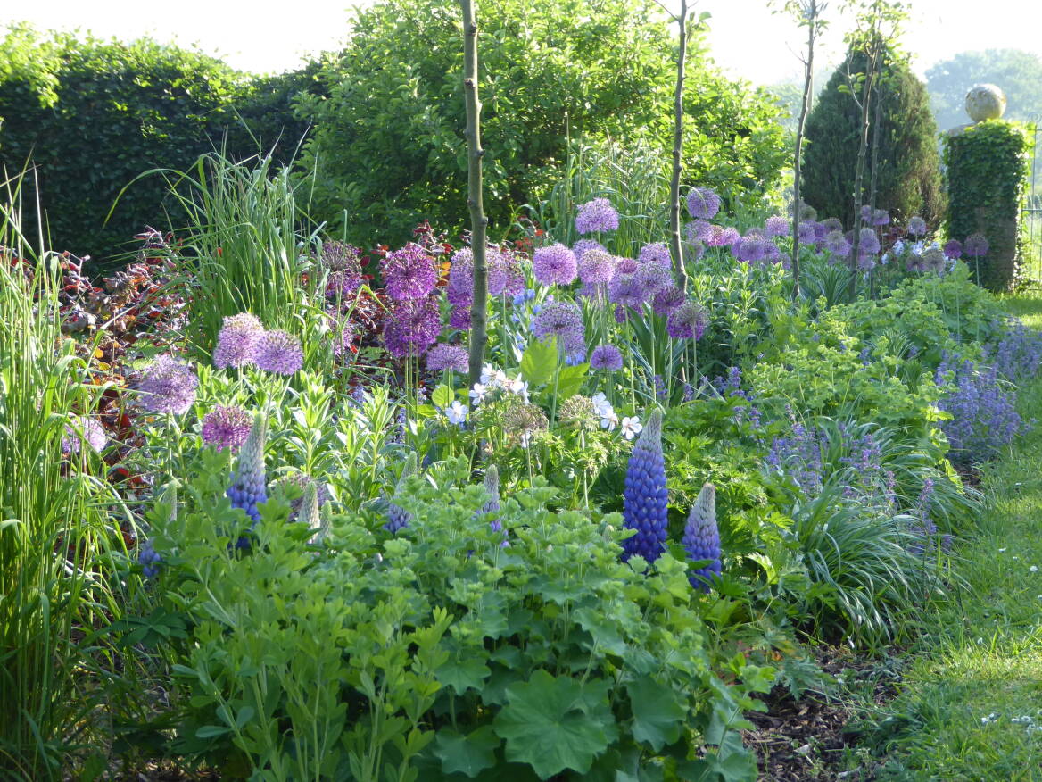 A Garden from Scratch: How to Choose the Plants and Put Them Together