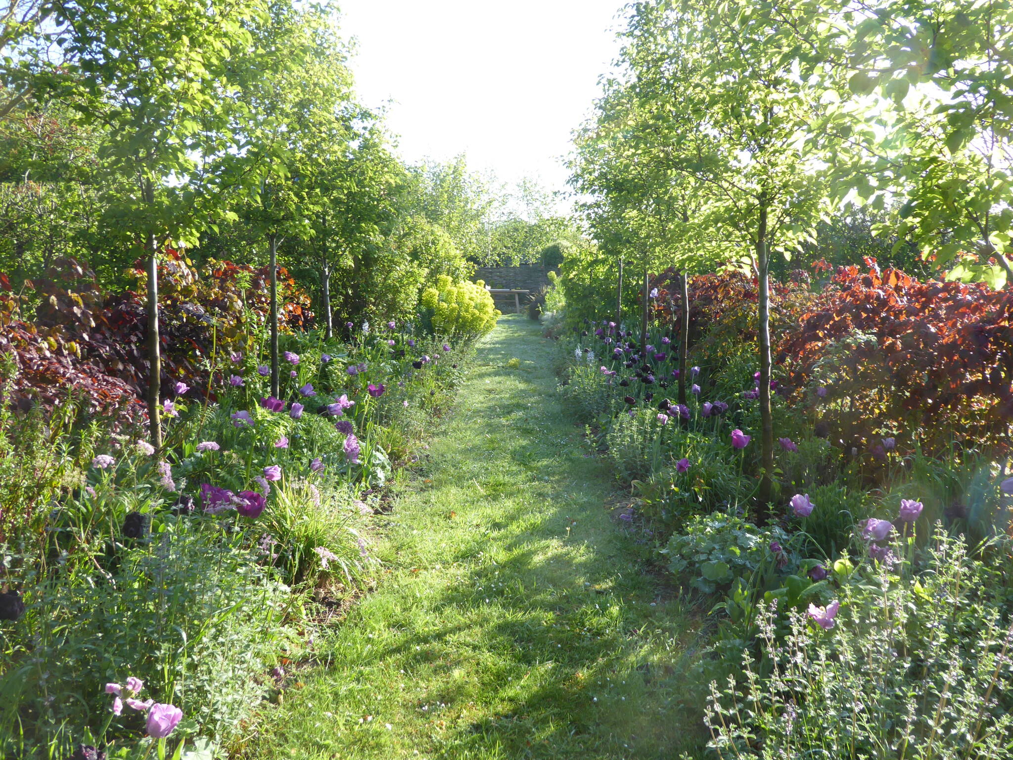 A Garden from Scratch: How to Choose the Plants and Put Them Together