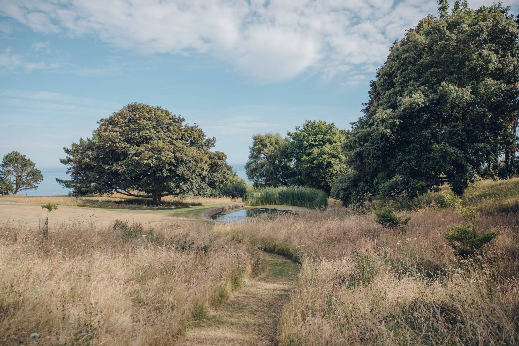 Dan Pearson: An Interview with the Masterful Garden Designer