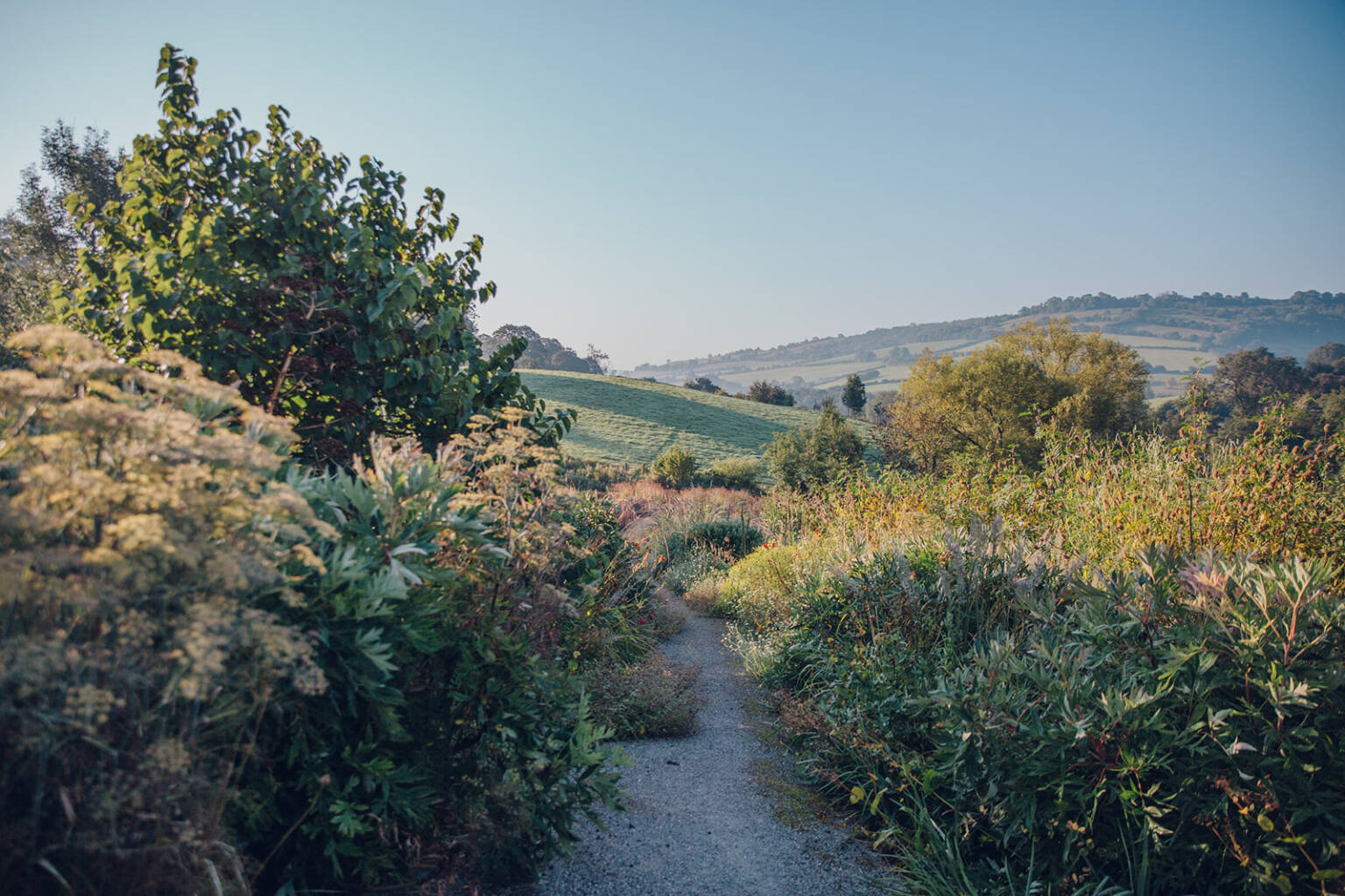 Dan Pearson: An Interview with the Masterful Garden Designer