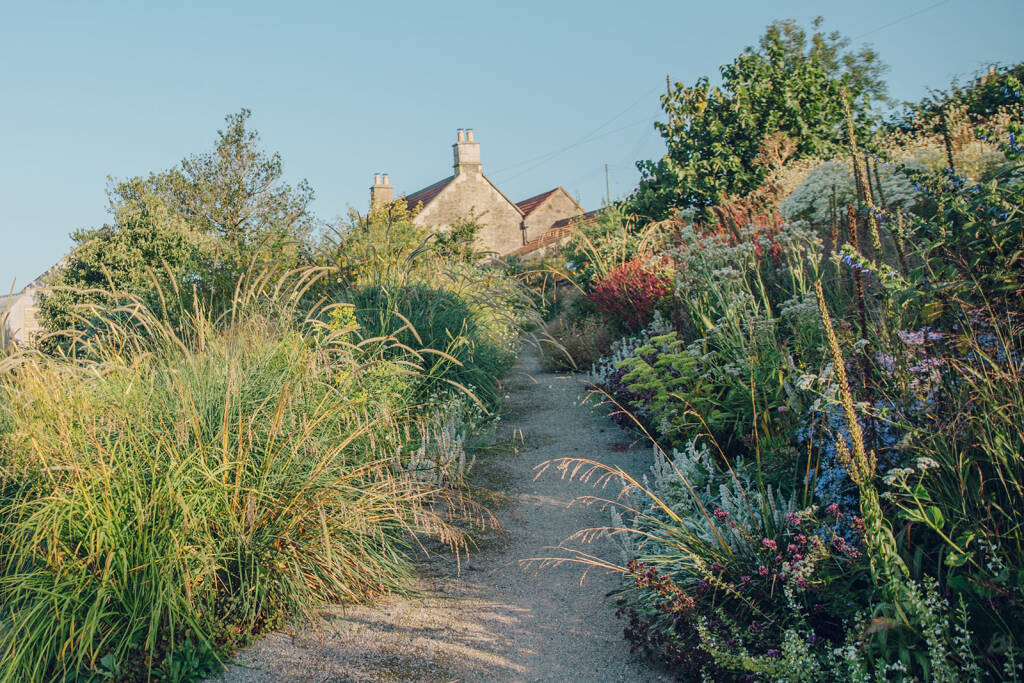 Dan Pearson: An Interview with the Masterful Garden Designer