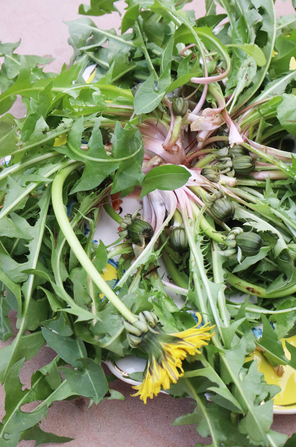 Dandelion Recipes: Delicious Served as a Wilted Side or in a Salad