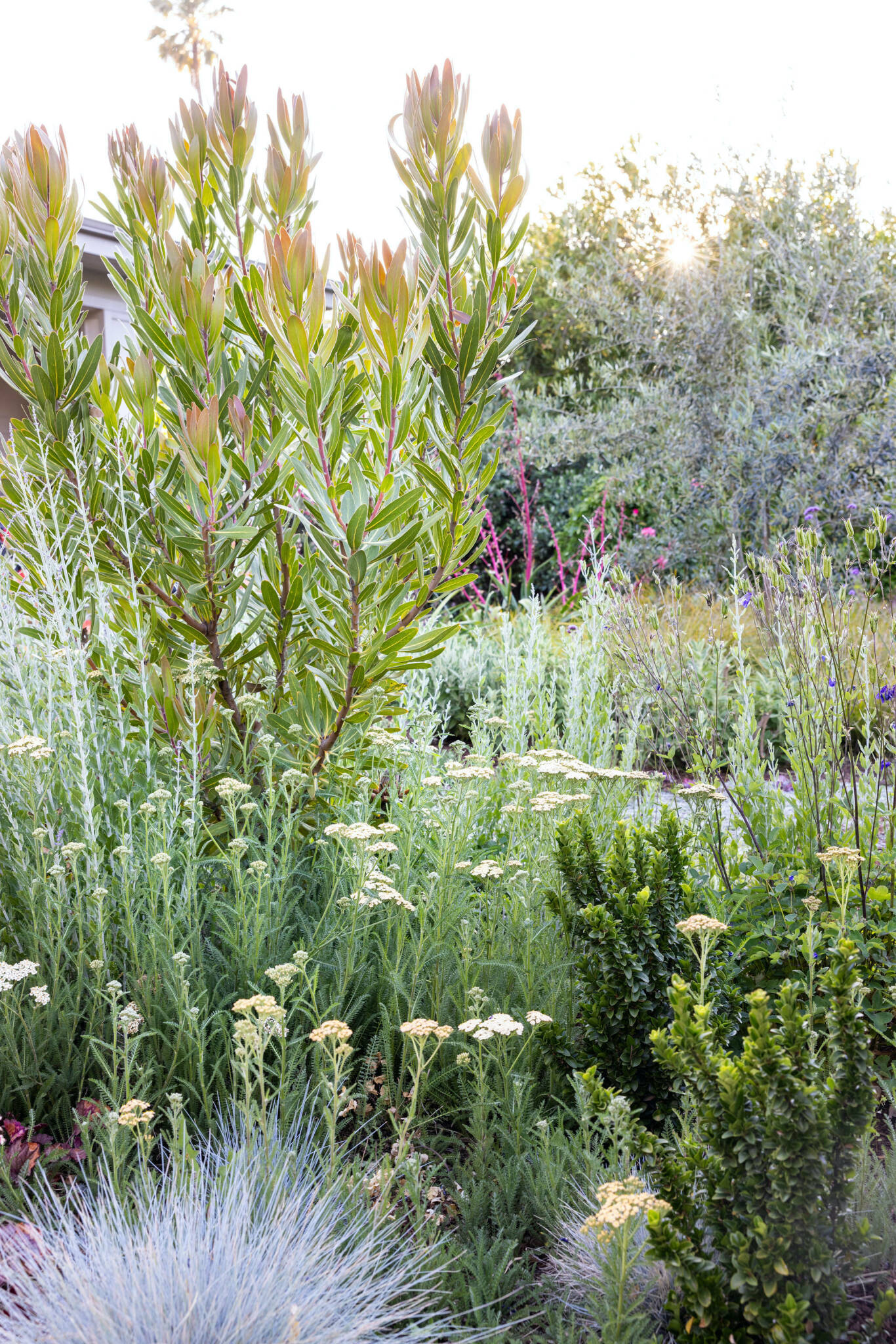 Leslie Bennett: An Interview with the Founder of Pine House Edible Gardens