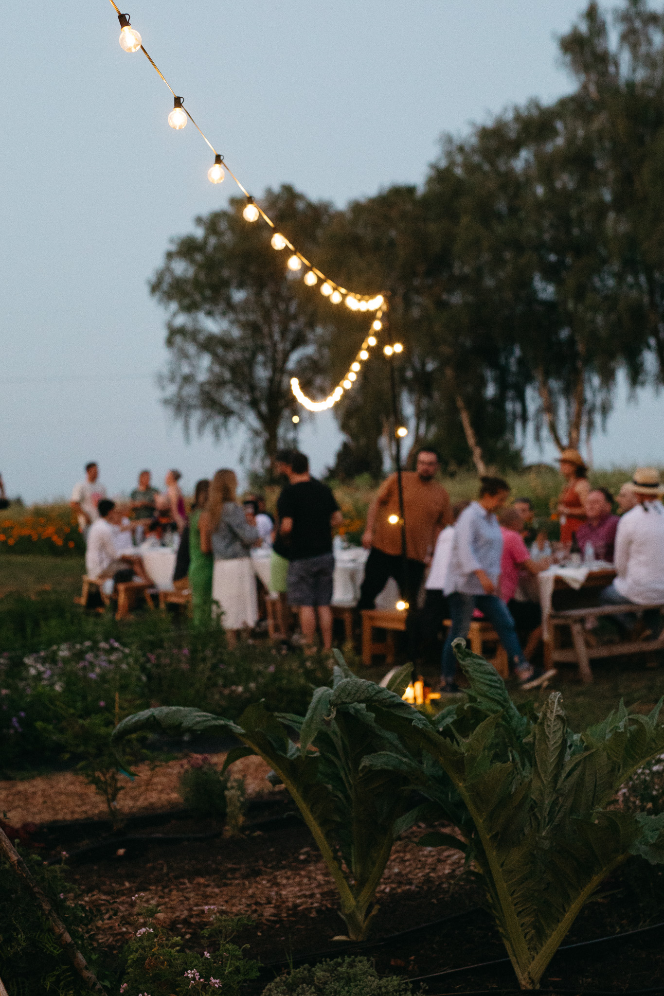 Island Farm Studio: Growing Flowers and Resilience on Sauvie Island