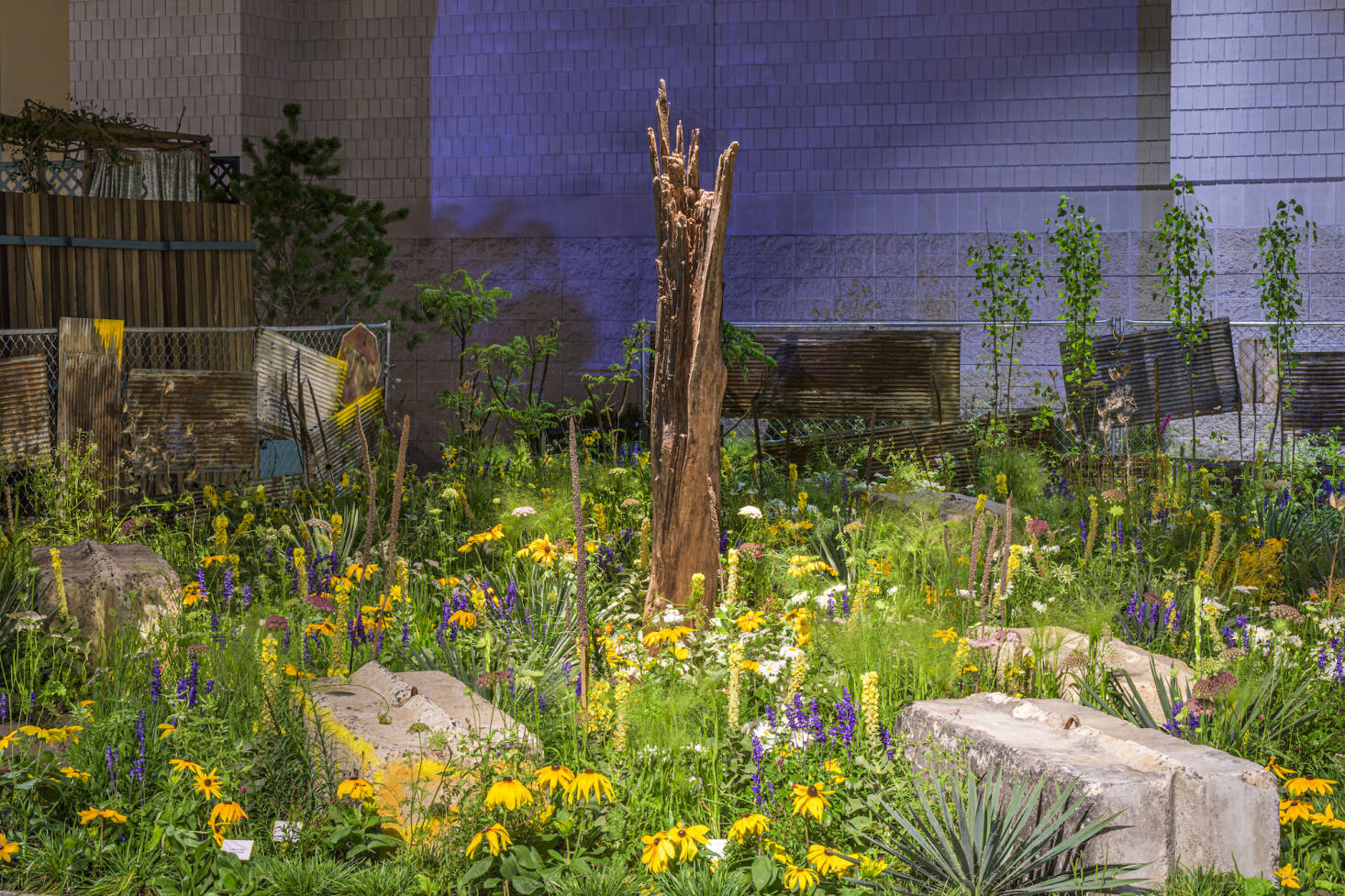 Snags in the Garden: A Garden Trend that Lets Dead Trees Stand