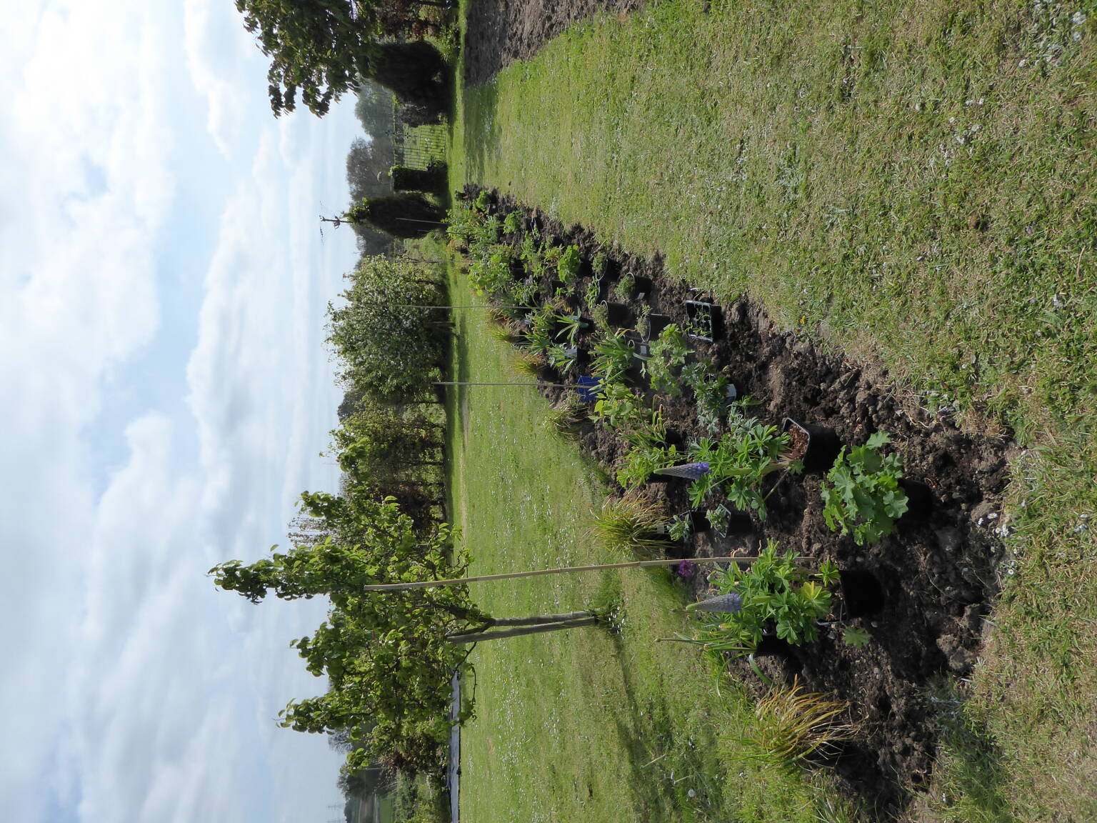 A Garden from Scratch: How to Prepare the Bed and Plant It