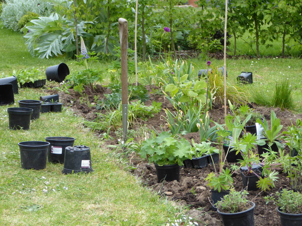 A Garden from Scratch: How to Prepare the Bed and Plant It