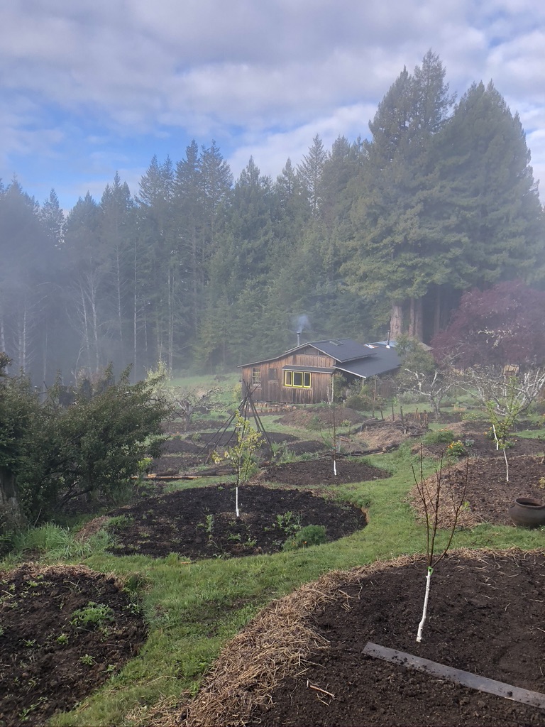 Fritz Haeg of Salmon Creek Farm: An Interview with the Artist Who ...