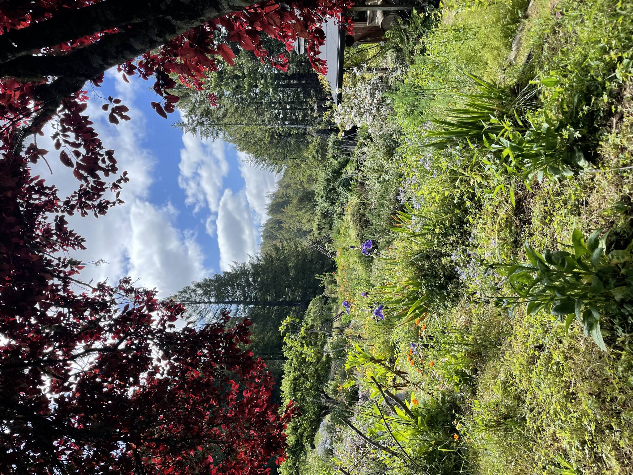 Fritz Haeg of Salmon Creek Farm: An Interview with the Artist Who ...