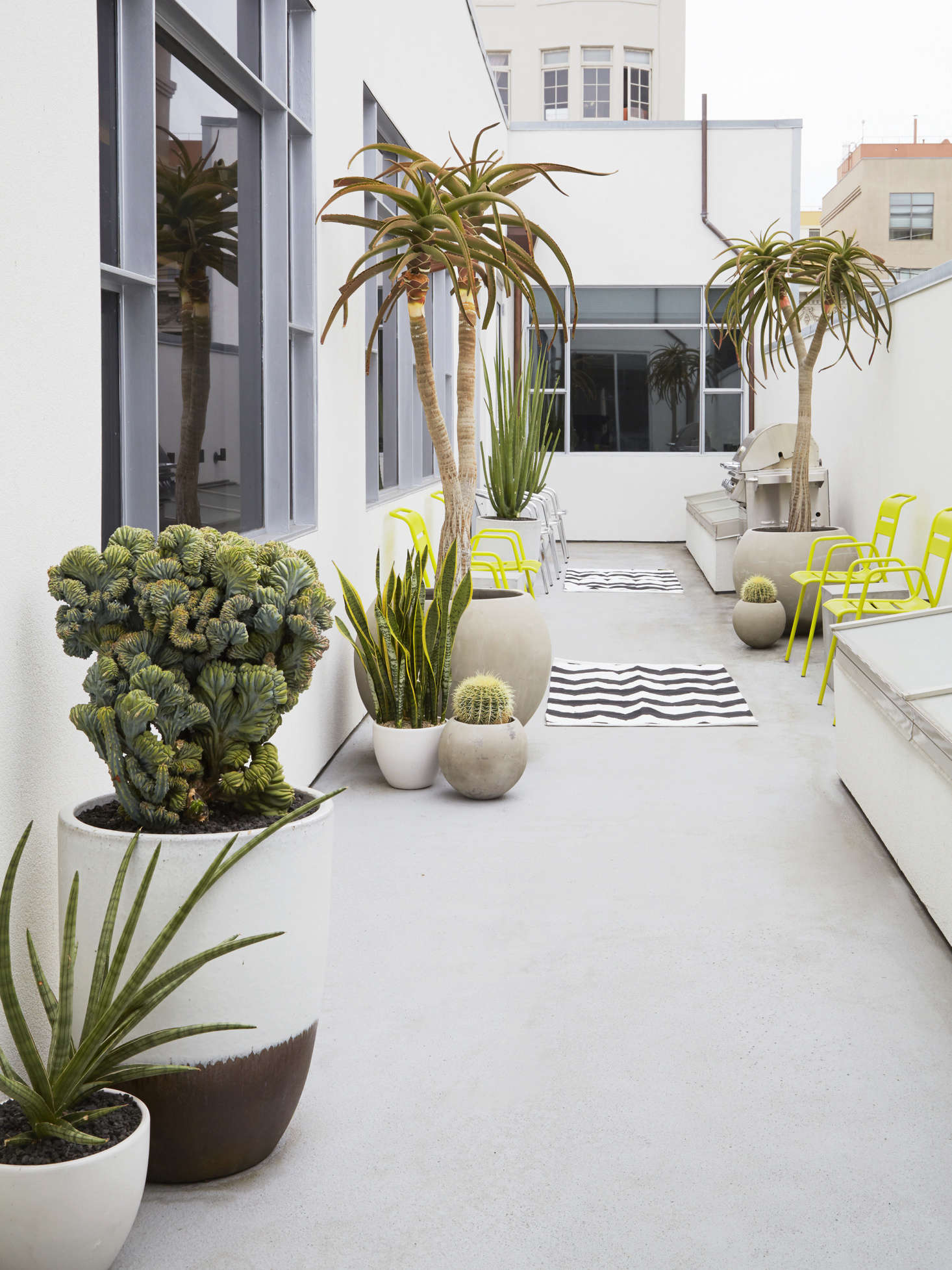 Small Container Garden Balcony in San Francisco: Steal This Look