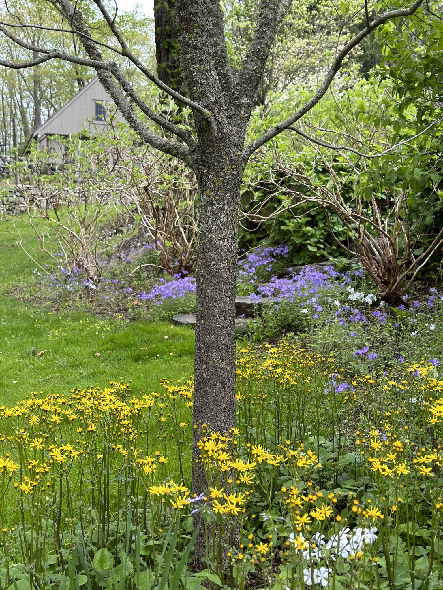 Leslie Needham Design: 8 Ideas to Steal from Her Gardens in Bedford, NY