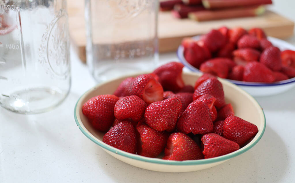 Ground Ivy: This Pretty Weed that Grows on Lawns Is Edible