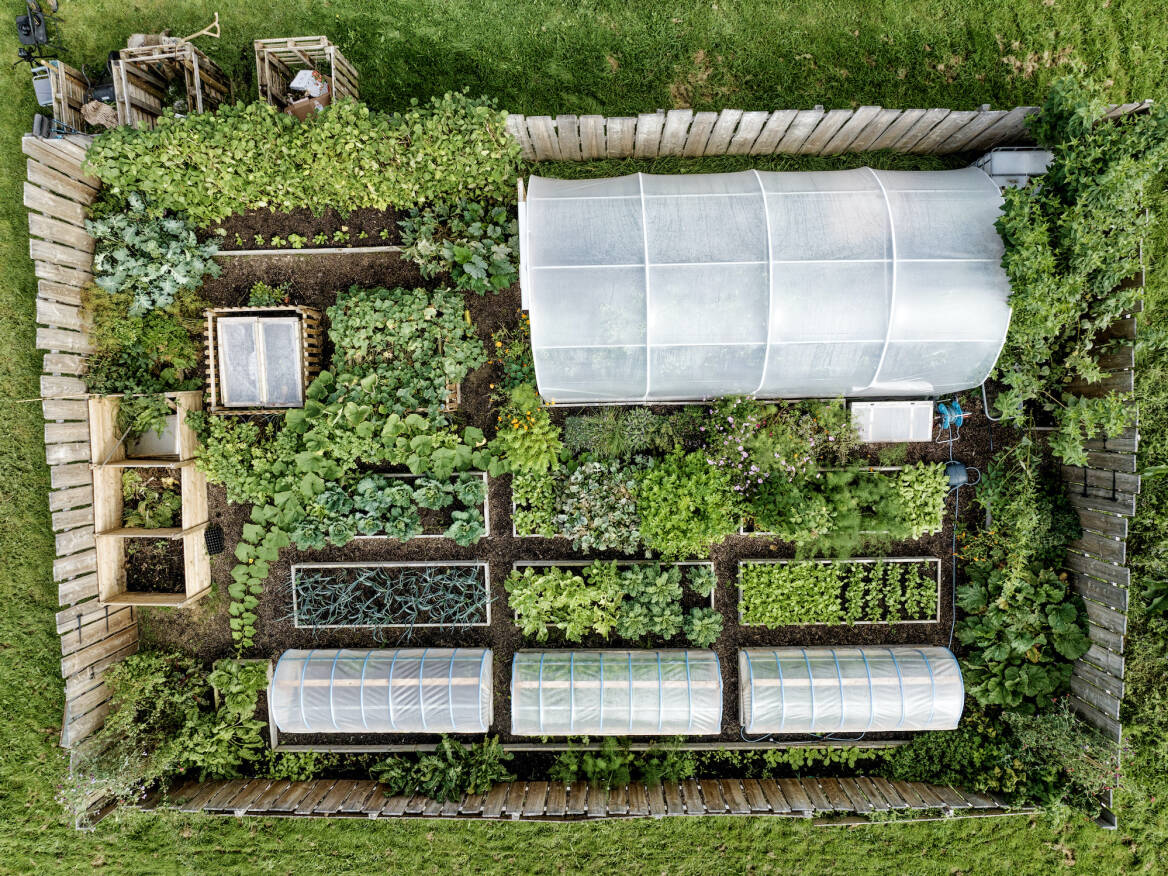 Huw Richards' New Book, The Self-Suffiency Garden: Feed Your Family and ...