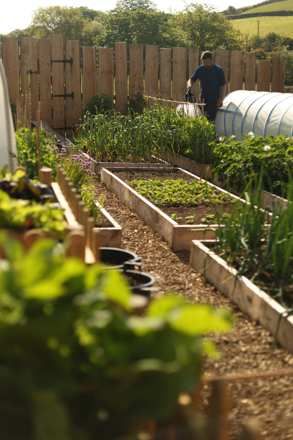 Huw Richards' New Book, The Self-Suffiency Garden: Feed Your Family and ...