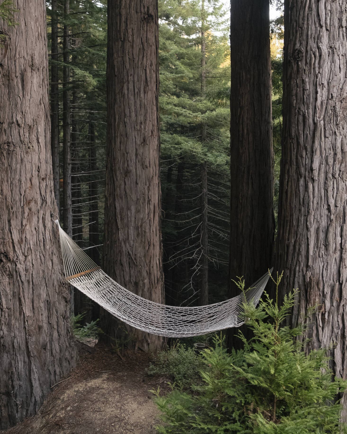 Fritz Haeg of Salmon Creek Farm: An Interview with the Artist Who ...