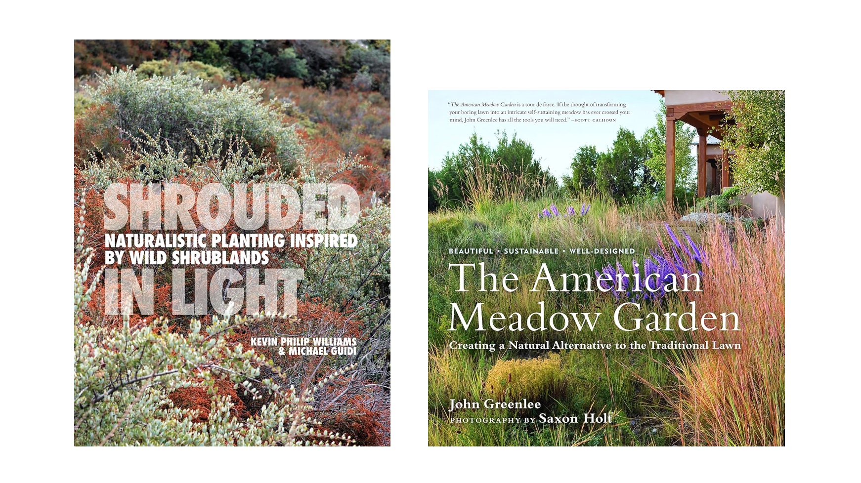 Terremoto's David Godshall, Dawn Wang, and Diego Lopez Answer Our ...