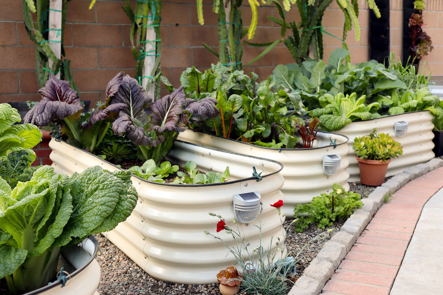 Vego Garden's Raised Beds and Planters Are Stylish, Sustainable, and ...