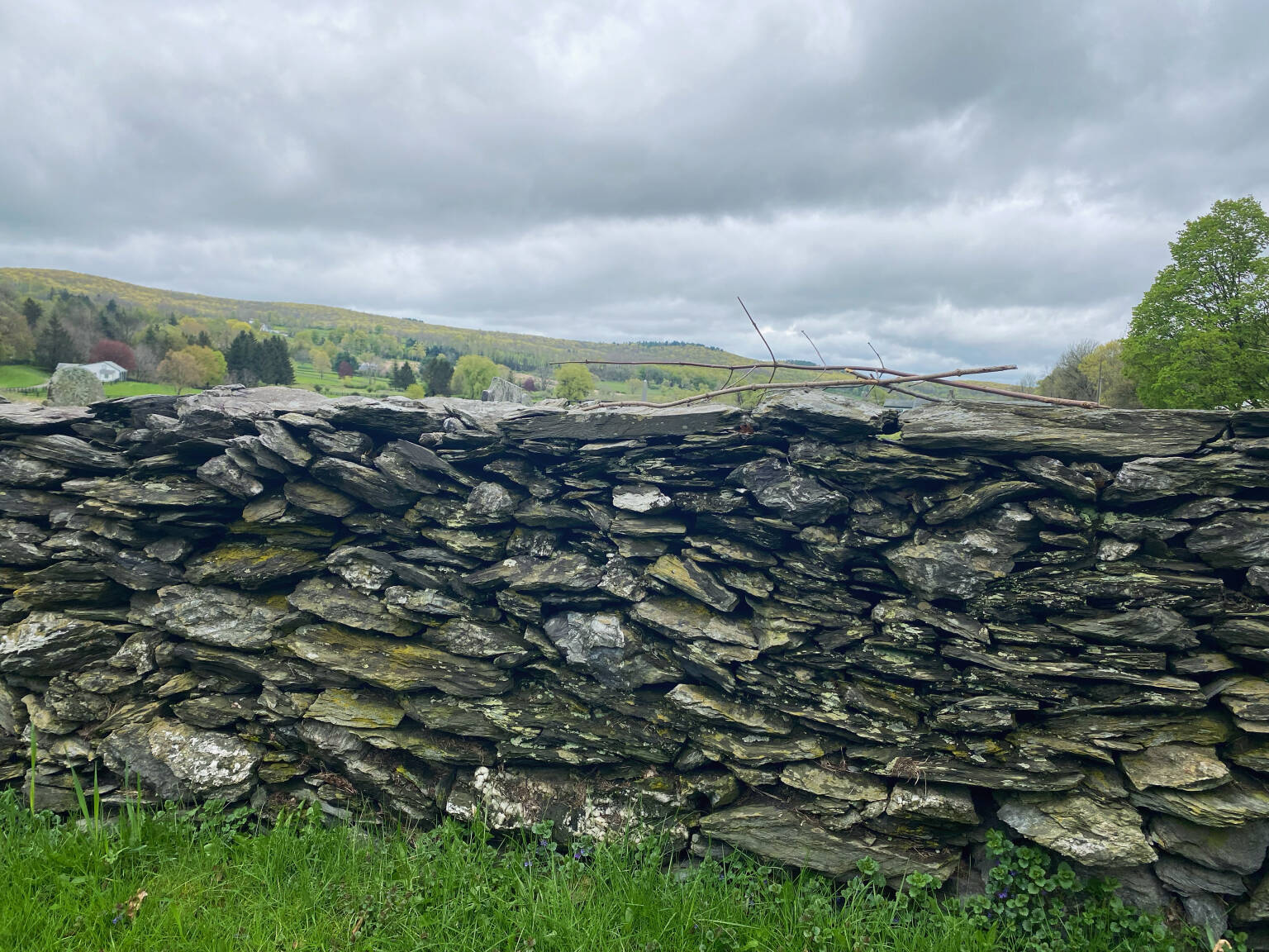 Lindsey Taylor: An Interview with the Garden and Floral Designer