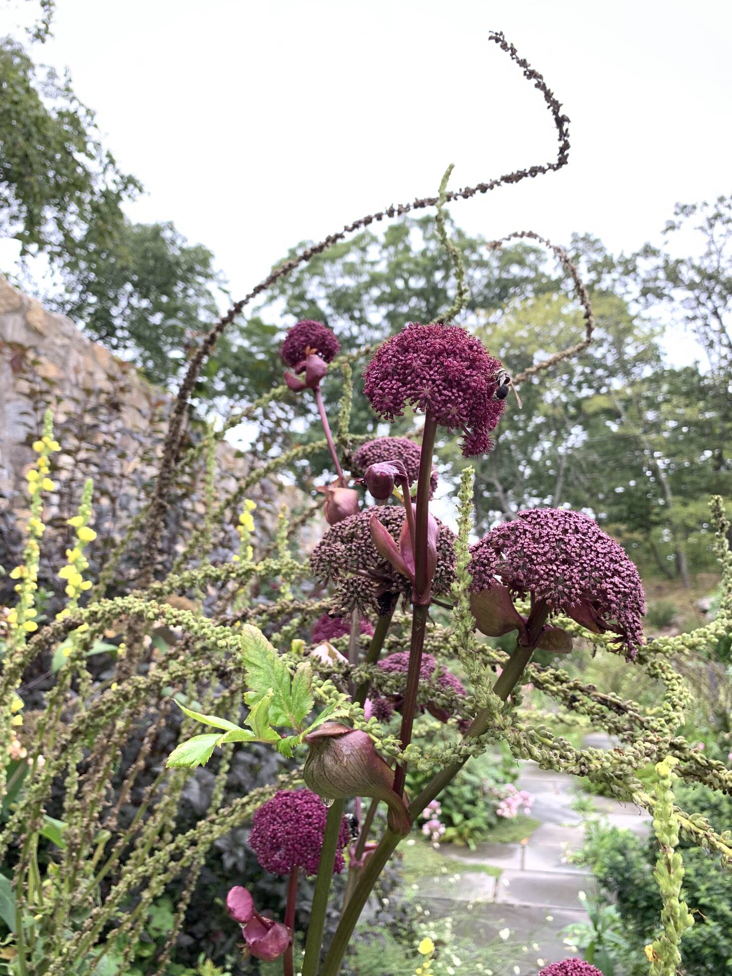 Lindsey Taylor: An Interview with the Garden and Floral Designer