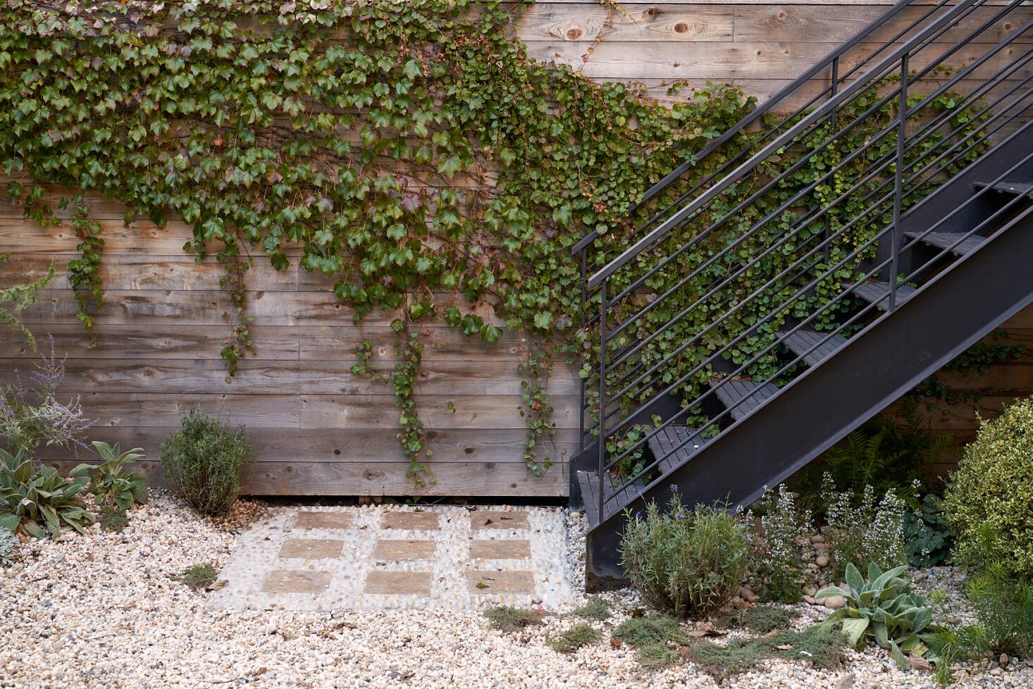 Brook Klausing: An Interview with the New York City Landscape Designer