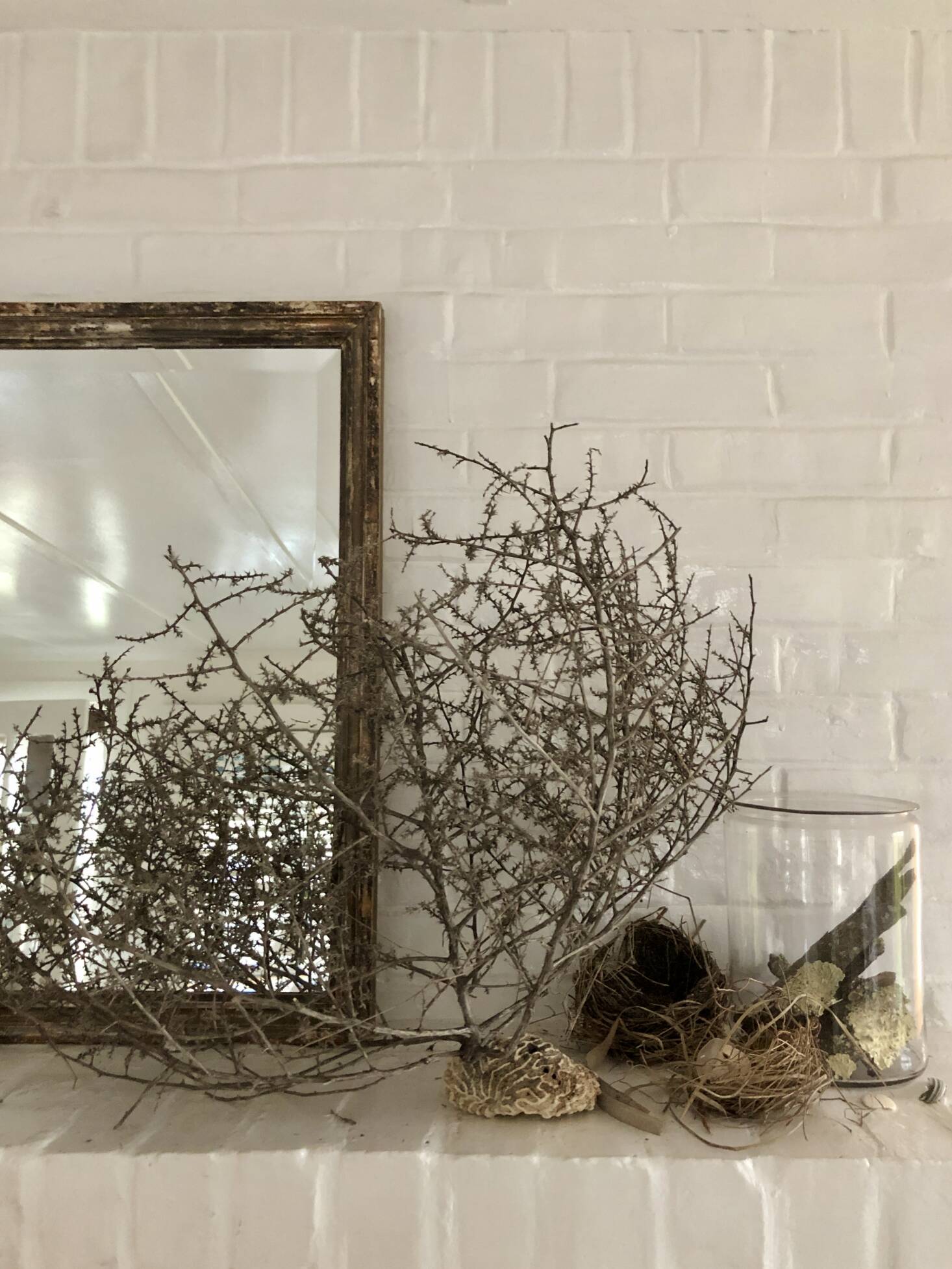 Alex Bates: An Interview with the Cofounder of Bloomist and Avid Gardener