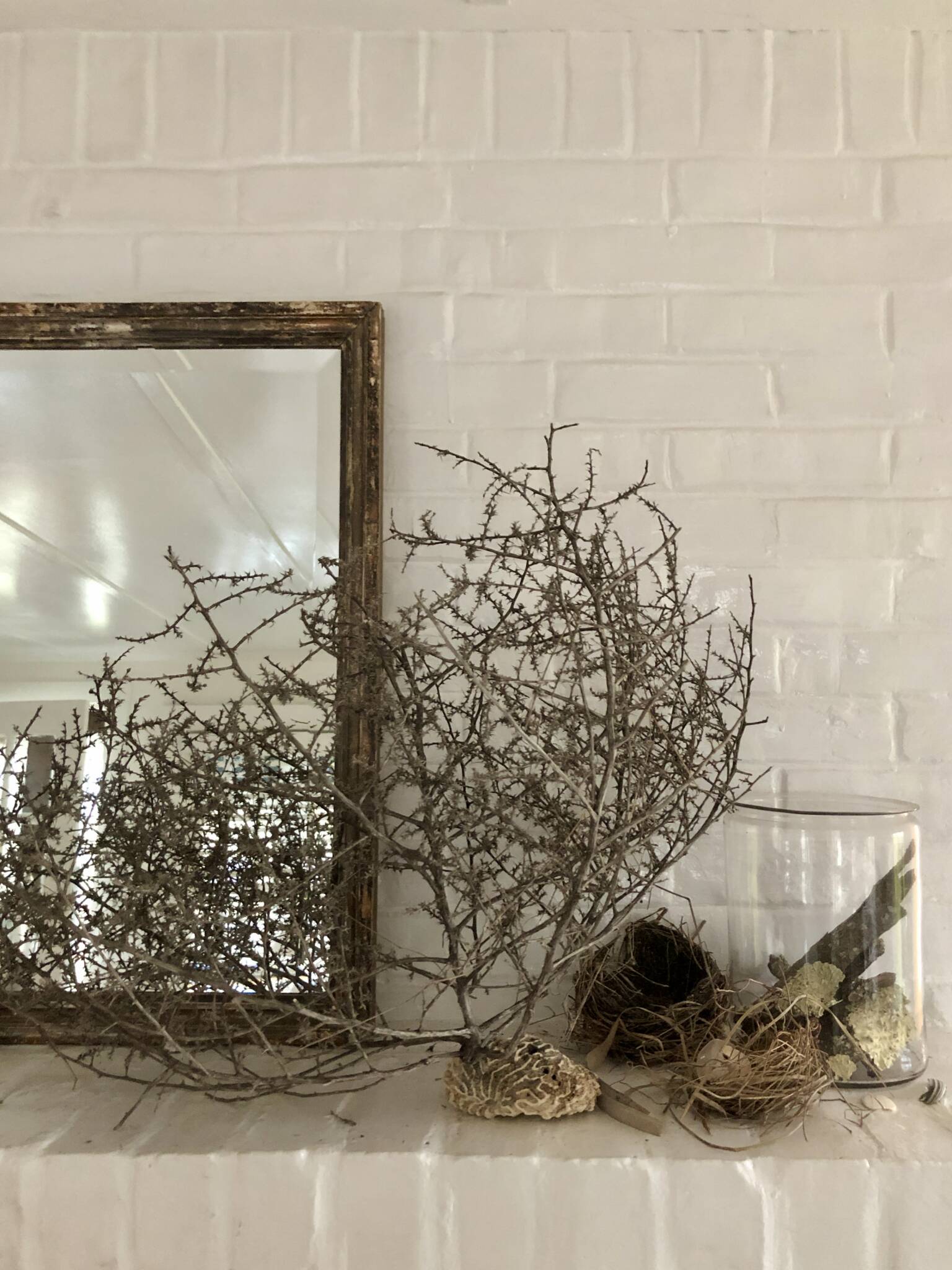 Alex Bates: An Interview with the Cofounder of Bloomist and Avid Gardener