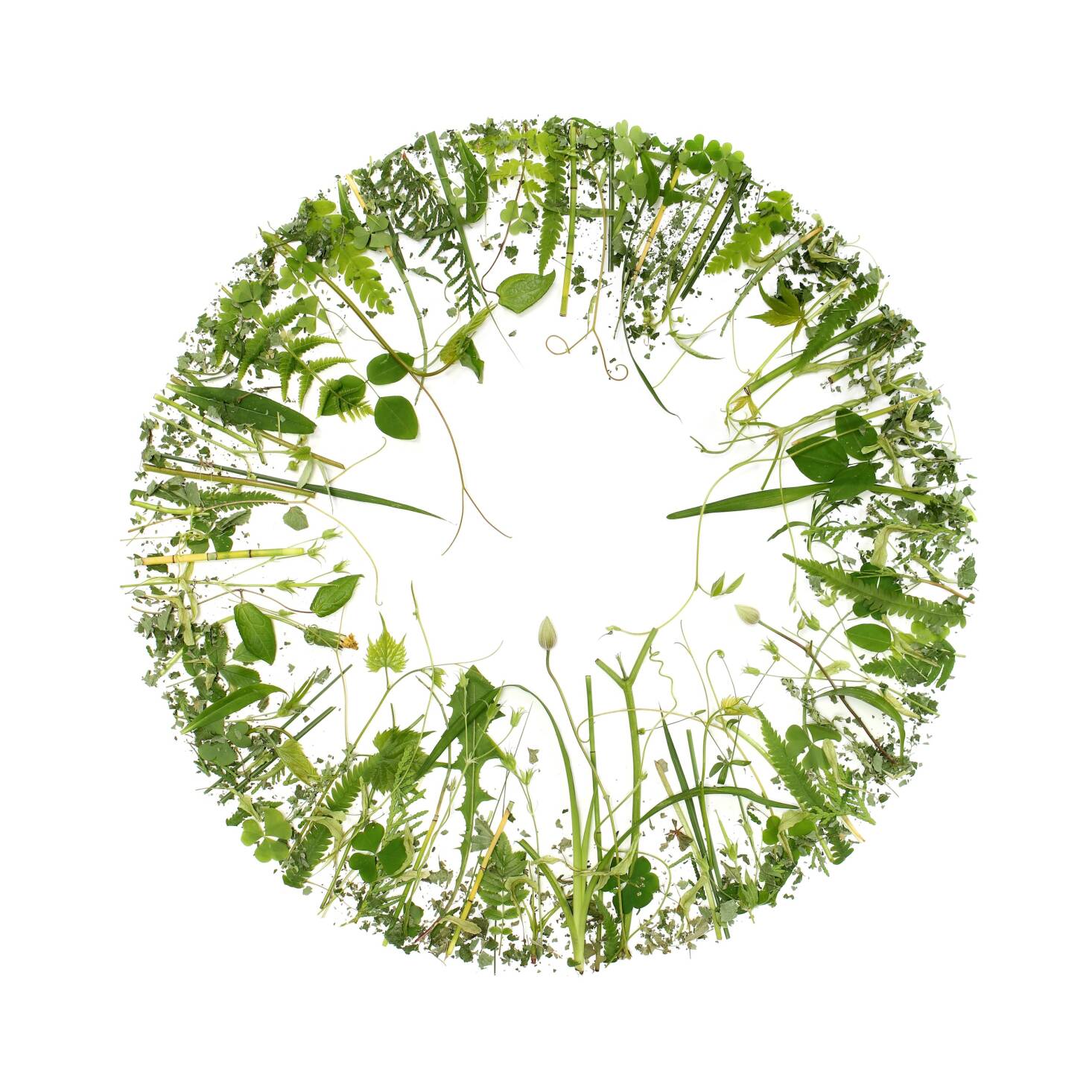 Still: The Art of Noticing by Mary Jo Hoffman: A Review