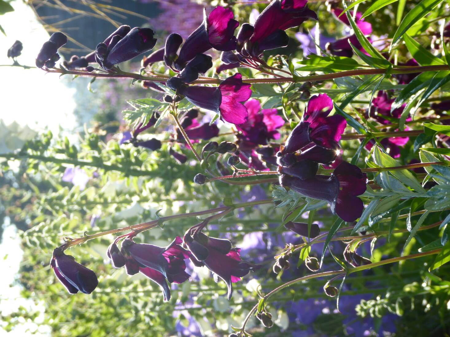 How to Save Money When You're Making a Garden from Scratch