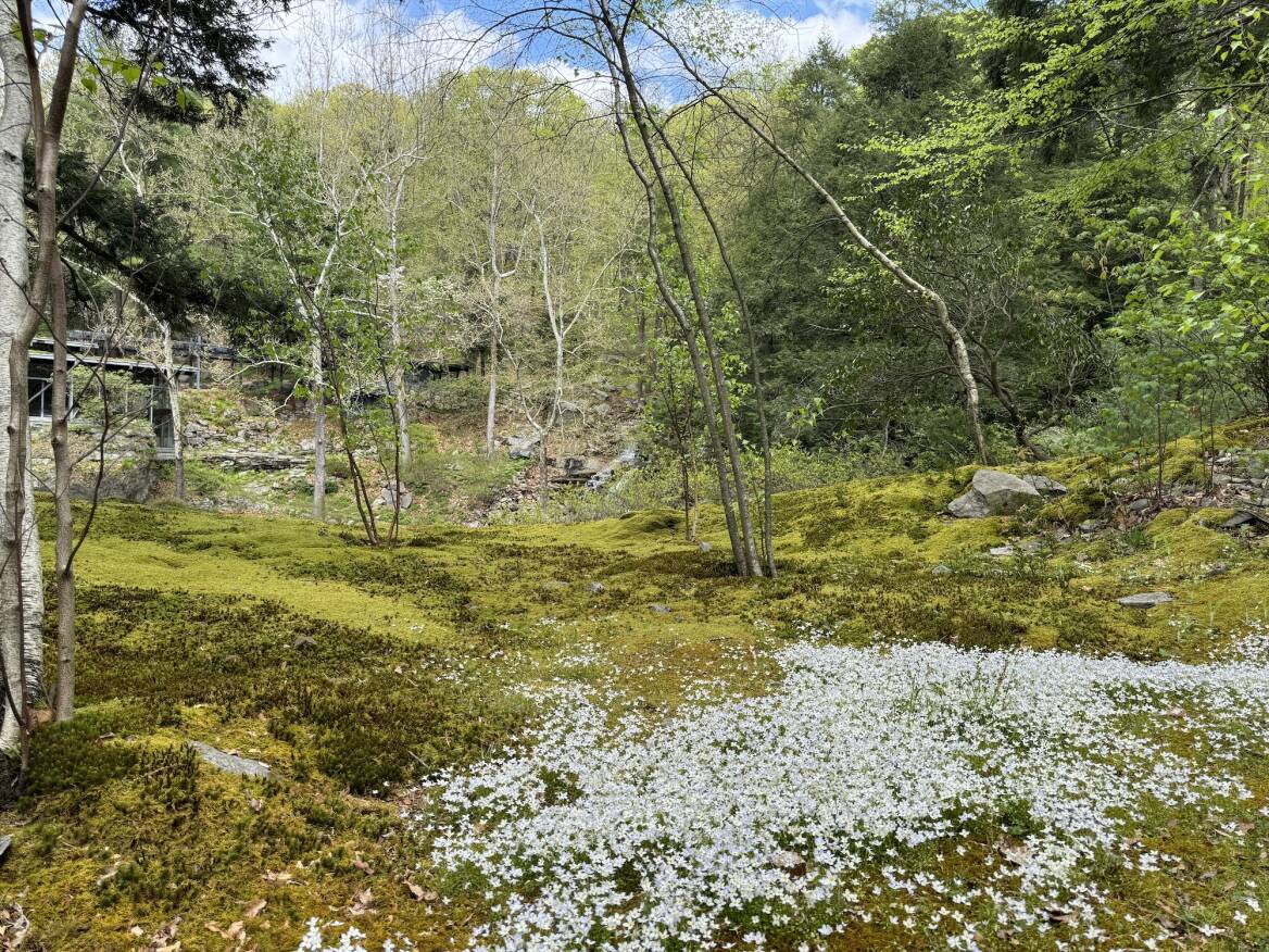 Russel Wright's Manitoga: His 'Forest Garden' in Garrison, NY, Is a Must-Visit