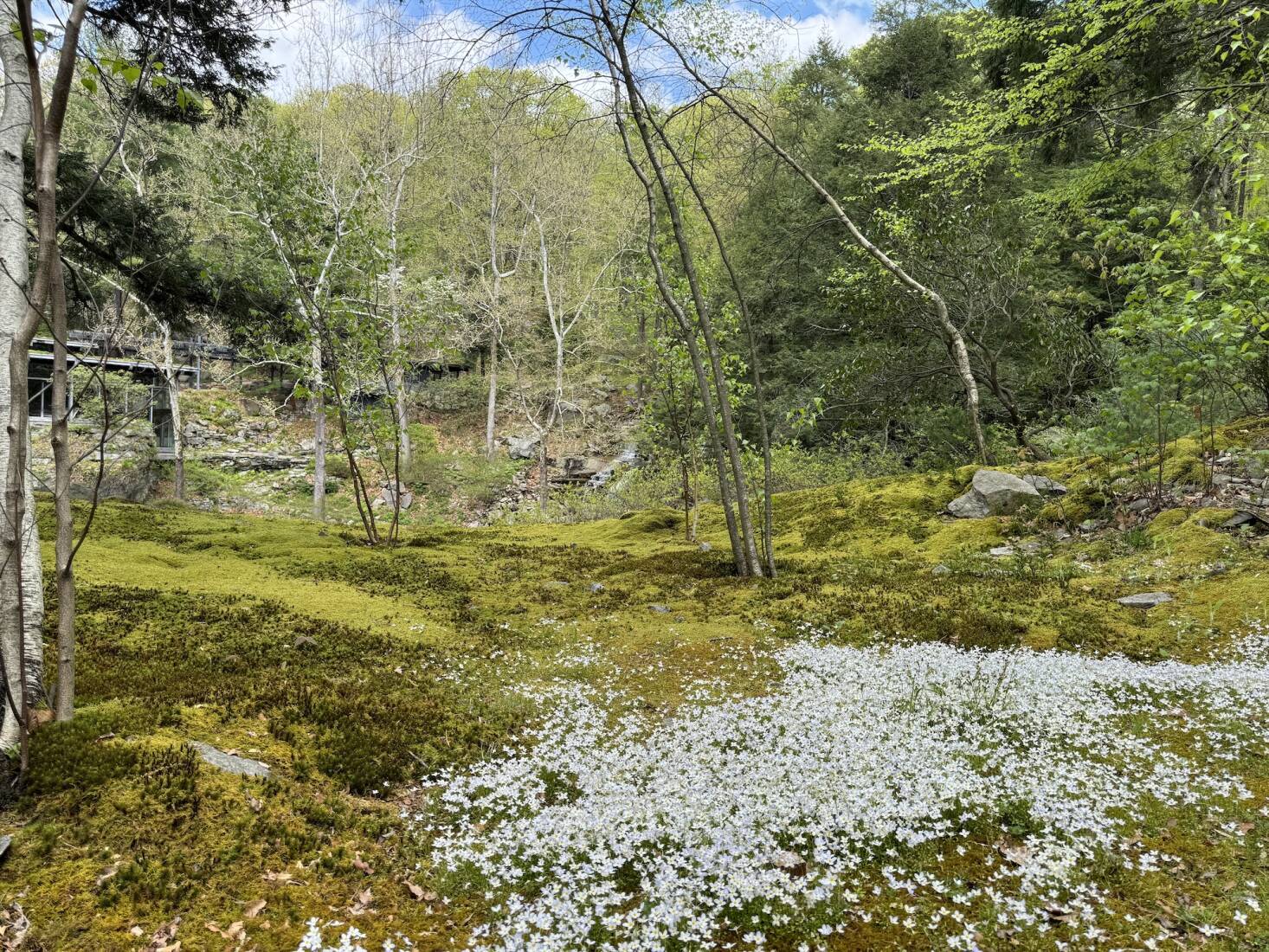 Russel Wright's Manitoga: His 'Forest Garden' in Garrison, NY, Is a ...