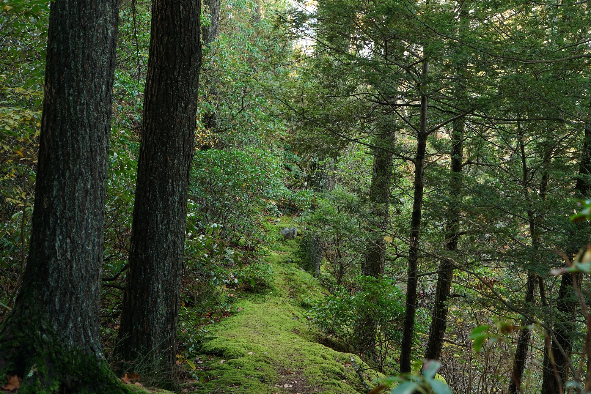 Russel Wright's Manitoga: His 'Forest Garden' in Garrison, NY, Is a Must-Visit